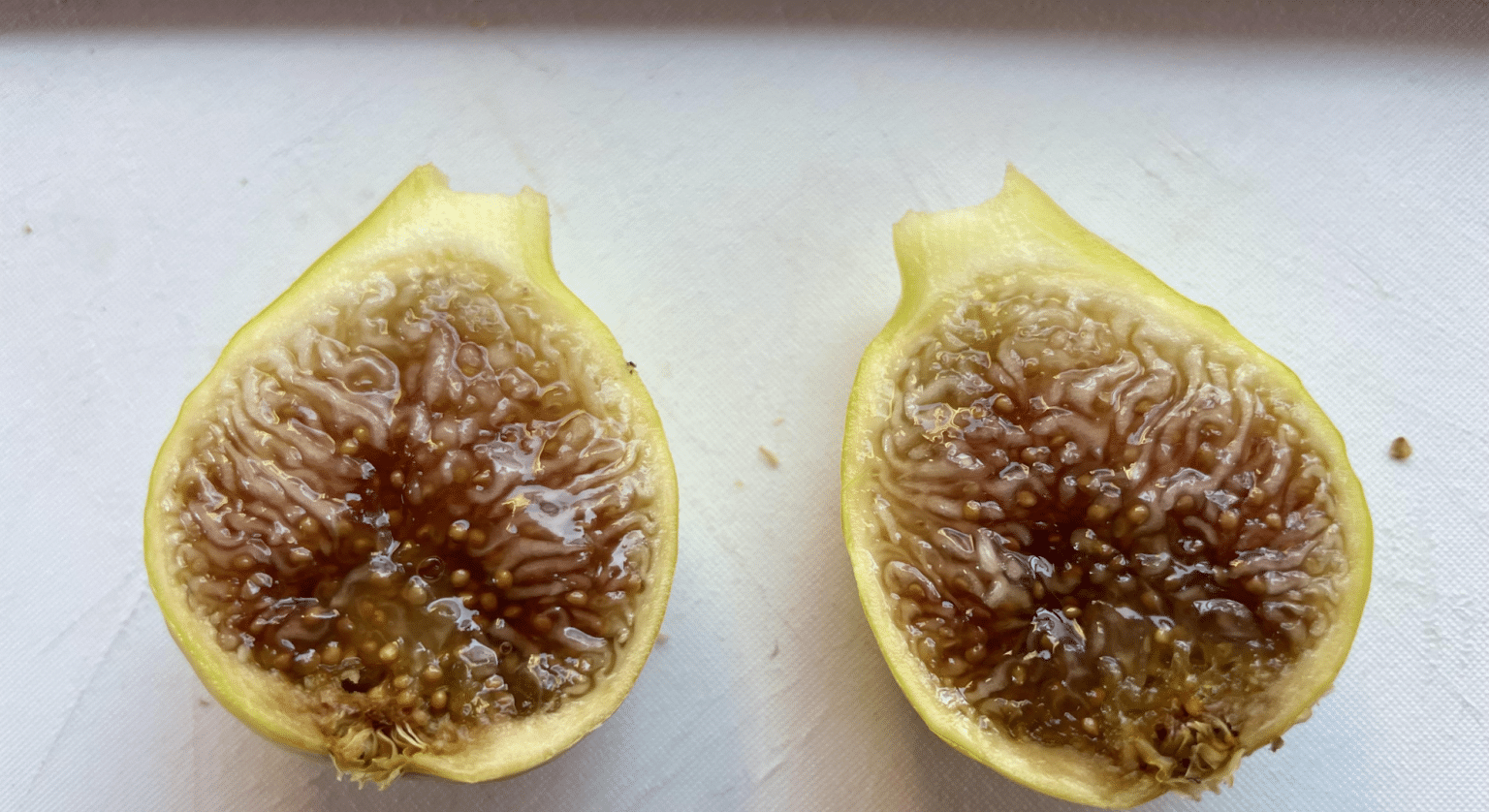 Types of Figs for Fresh Eating, Baking, and More - Seed Sheets