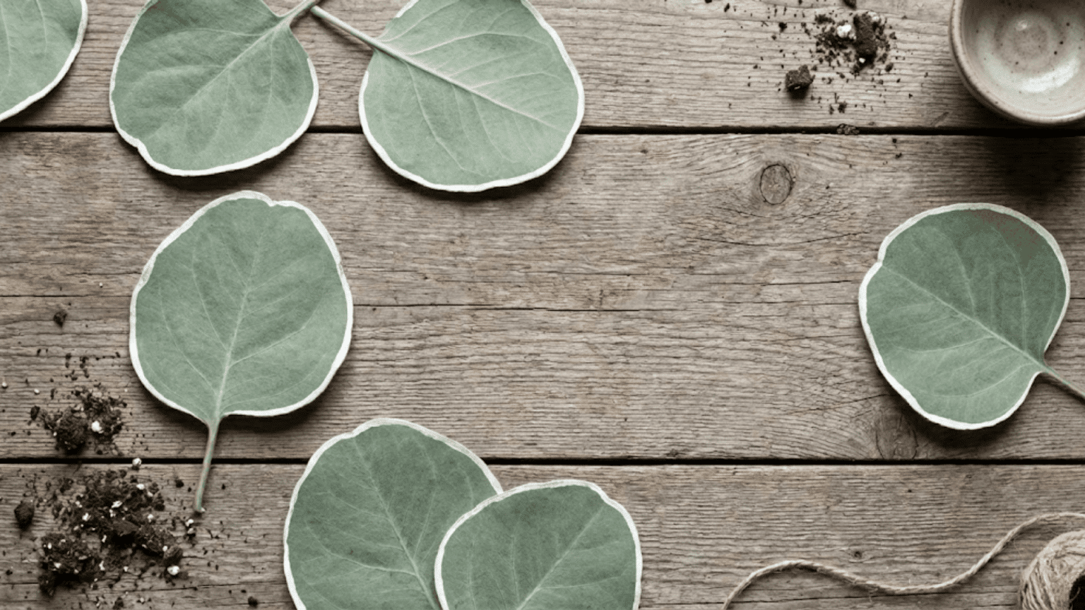 35 Different Types of Sage Plants: Names, Uses & Care - Seed Sheets