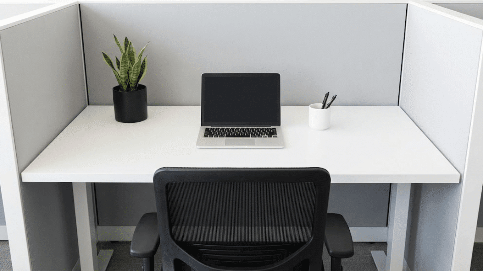 35 Office Cubicle Decor Ideas to Refresh Your Workday - Seed Sheets