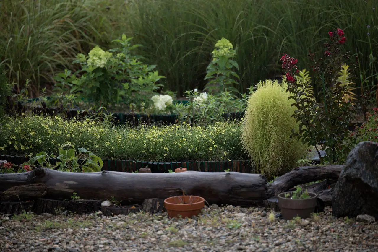 First Garden Project to Consider After Moving Into a New Home